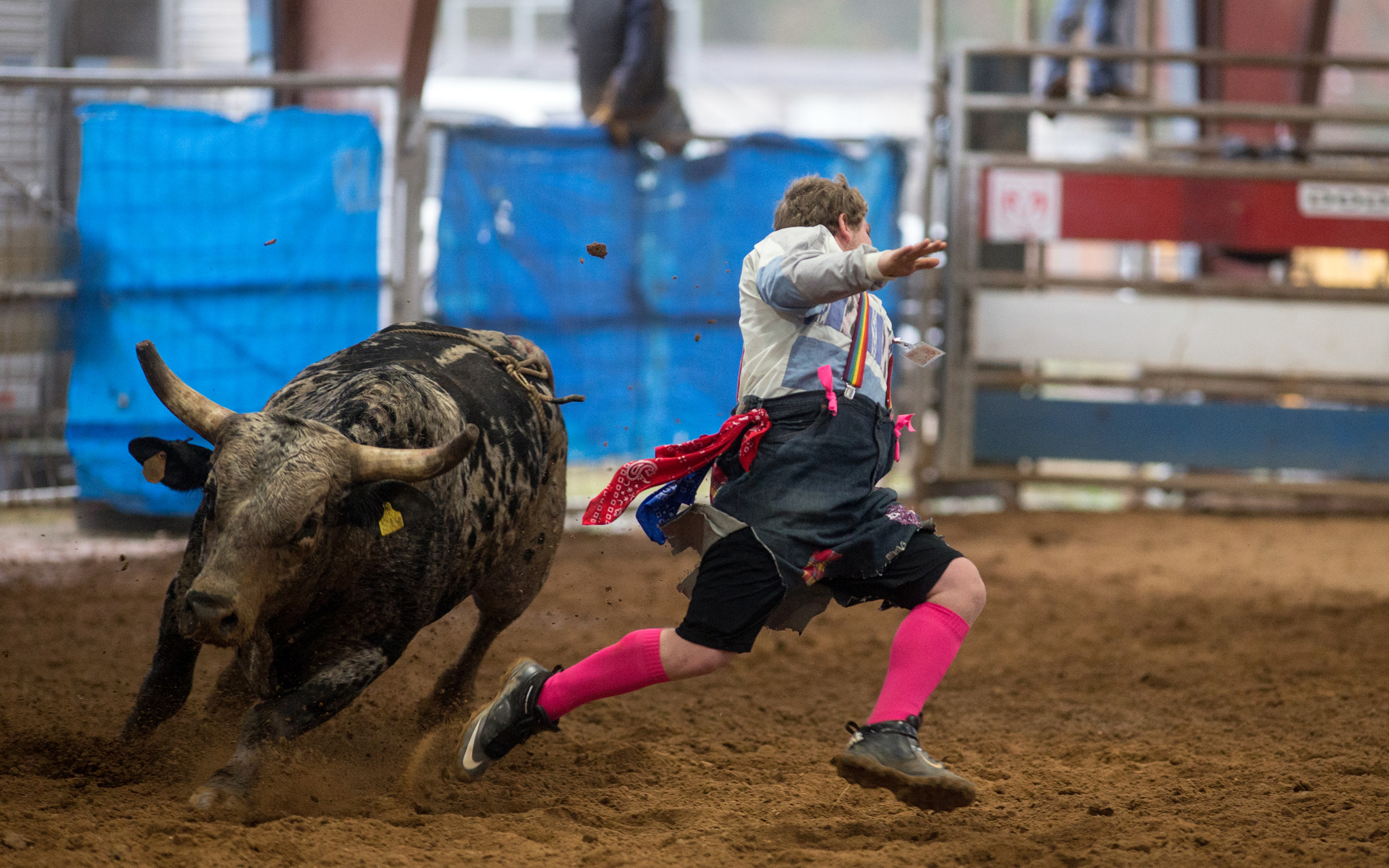 Bull Fighter Training at Sankey Rodeo School - Sankey Rodeo Bull ...