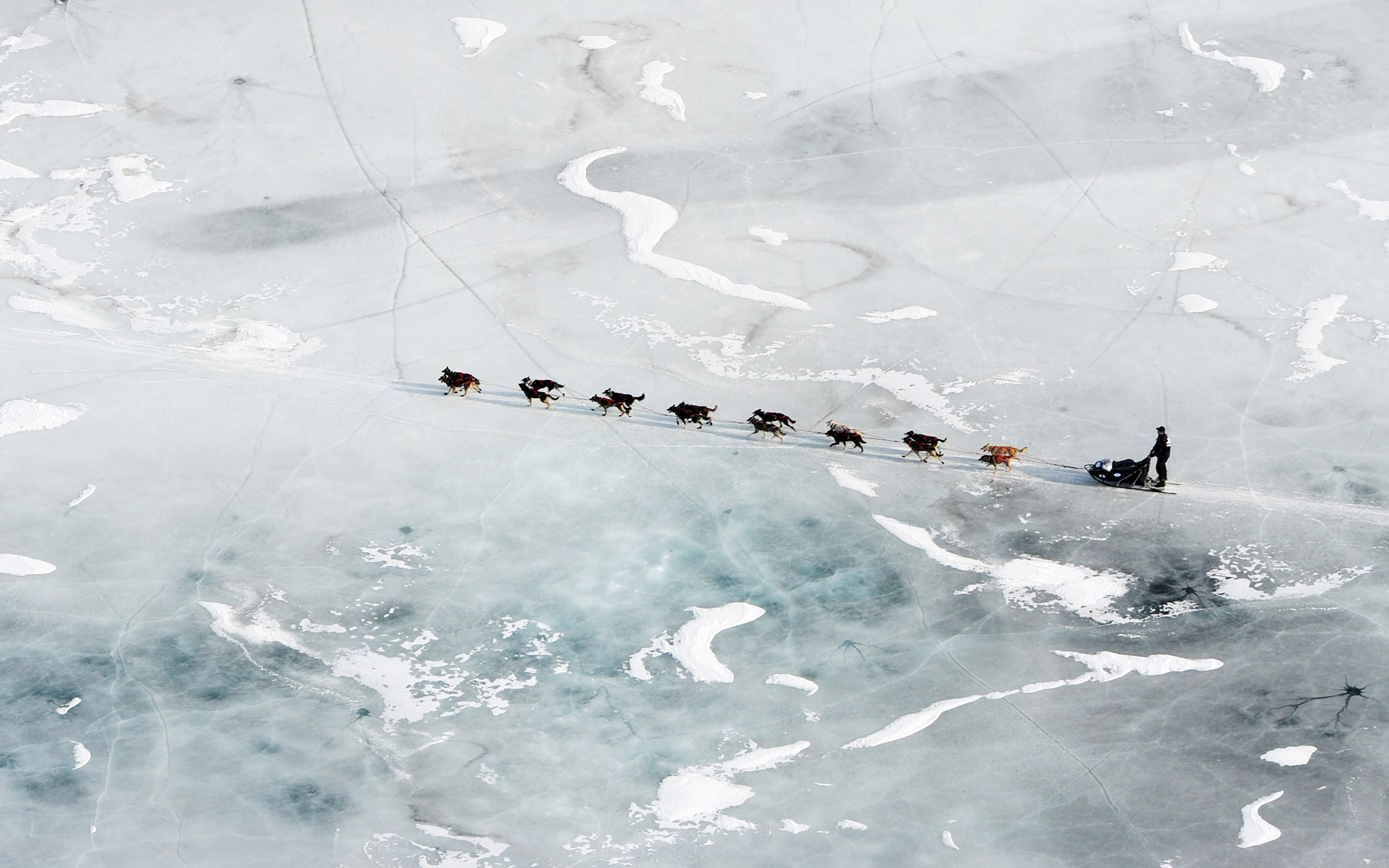 Mush! - The Week in Pictures for March 4-7, 2013 - ESPN