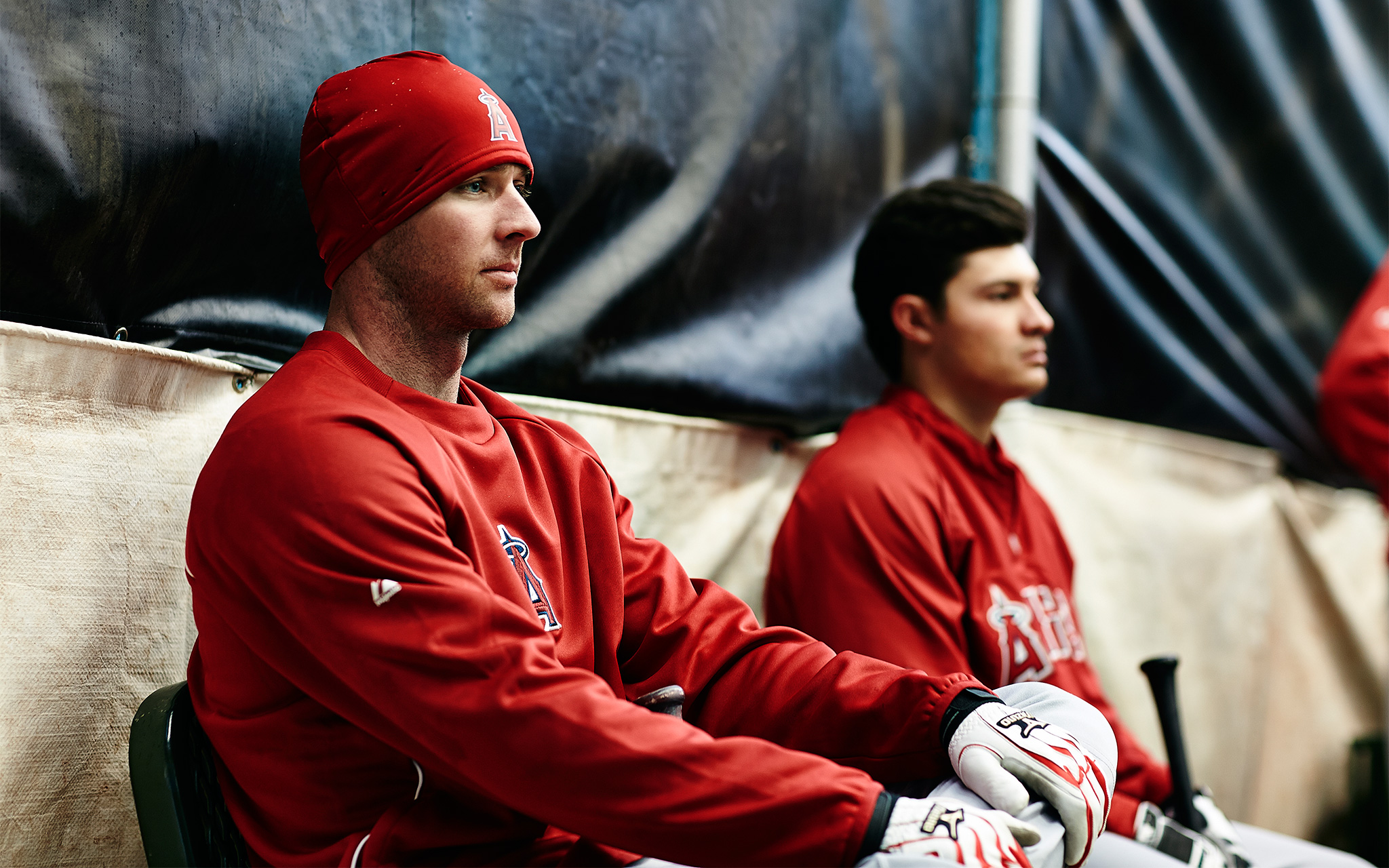 Angels Spring Training - The Boys of February: The Los Angeles Angels ...