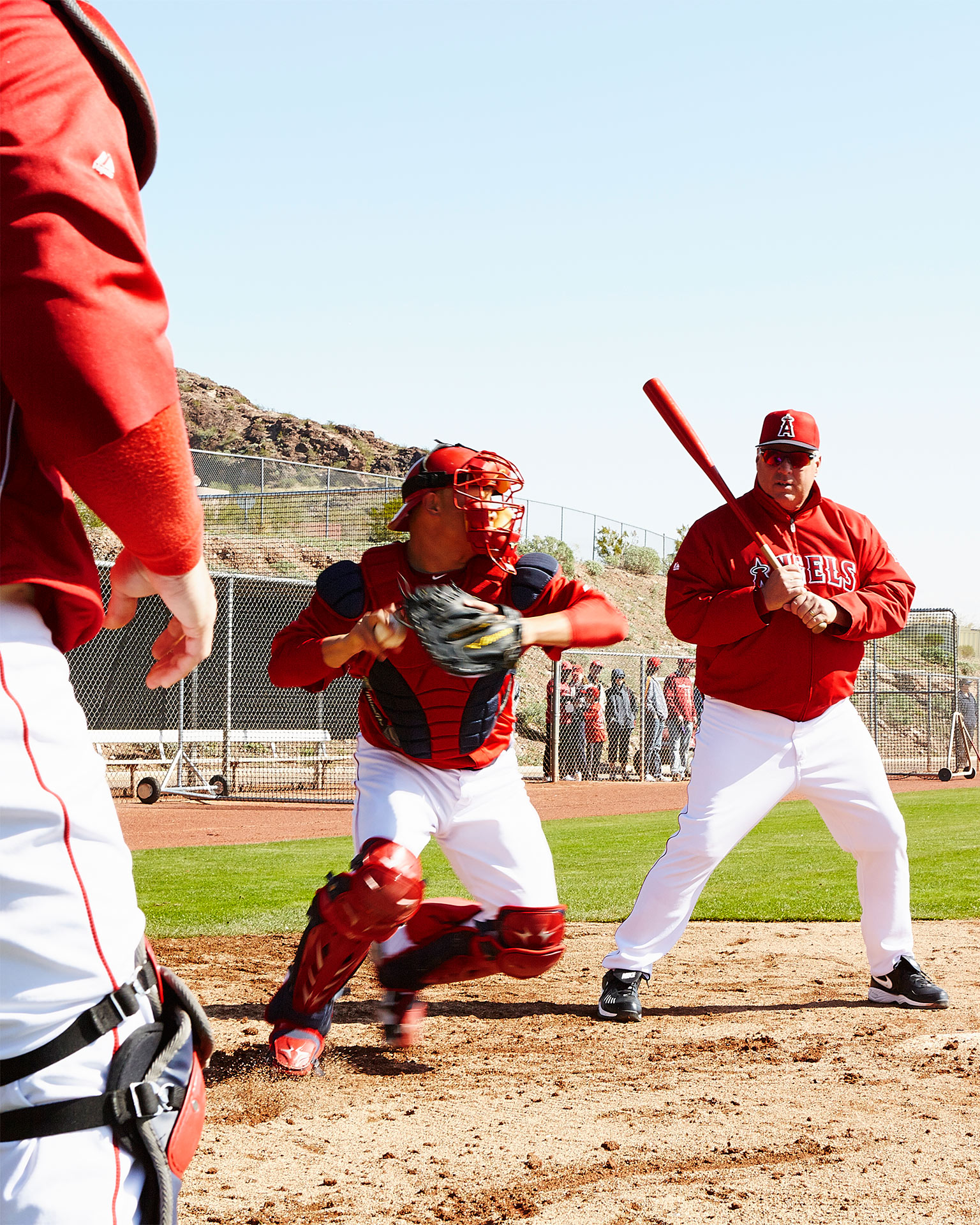 Angels Spring Training - The Boys of February: The Los Angeles Angels ...