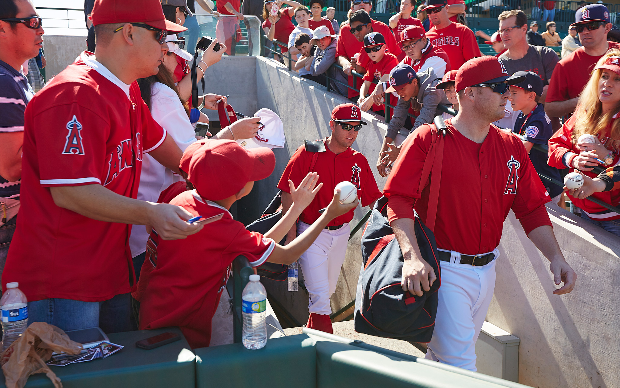 Angels Spring Training - The Boys of February: The Los Angeles Angels ...