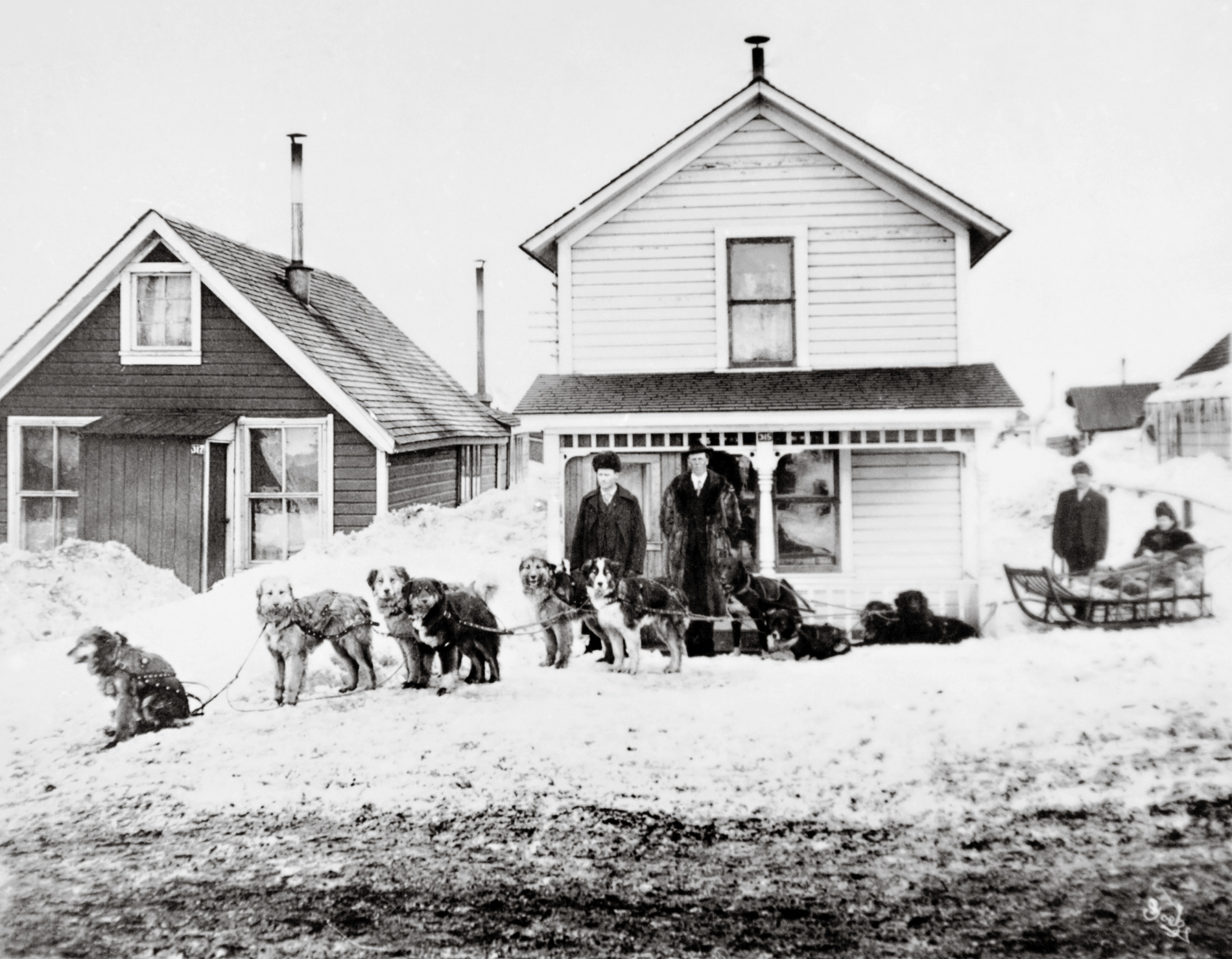 Dogs in front of house - History of Dogsledding - ESPN