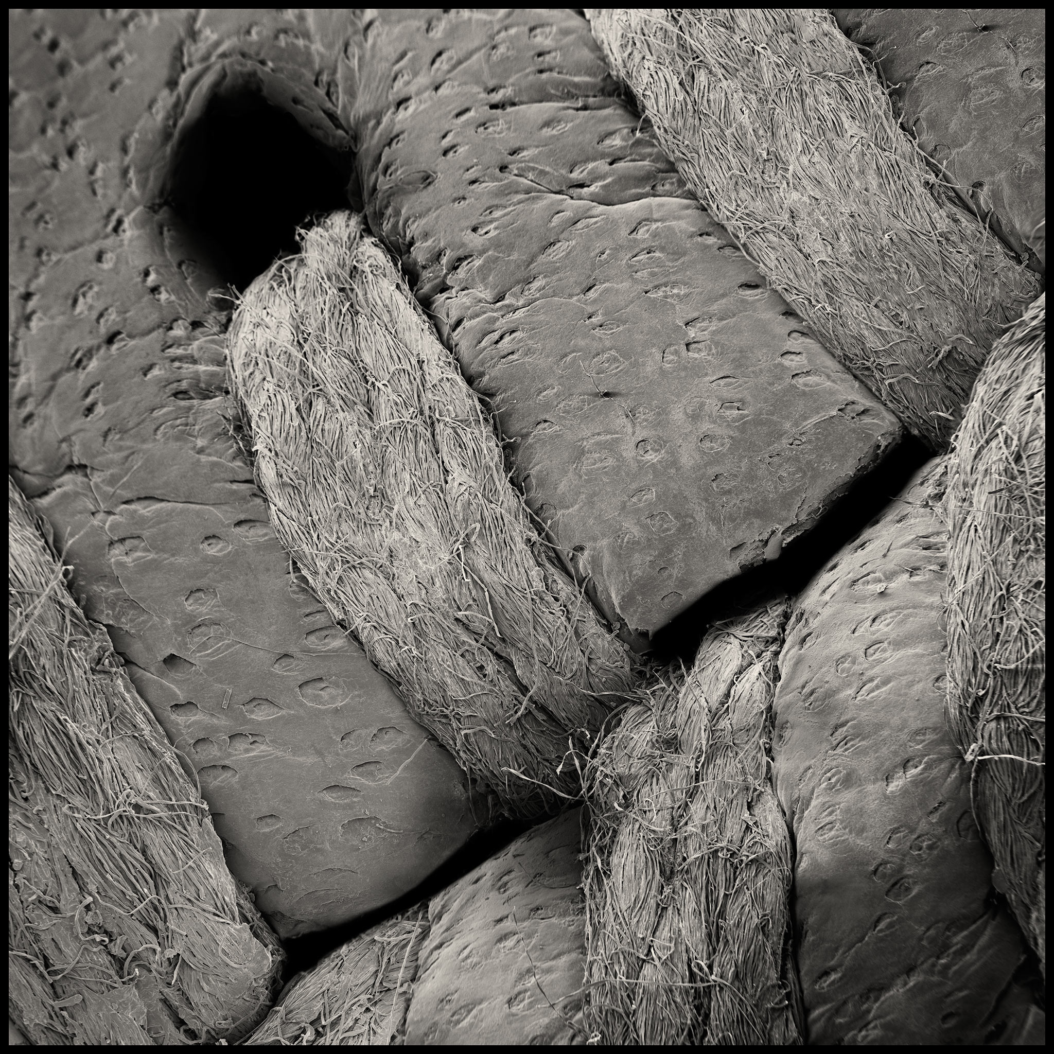 Baseball - Close Calls - ESPN