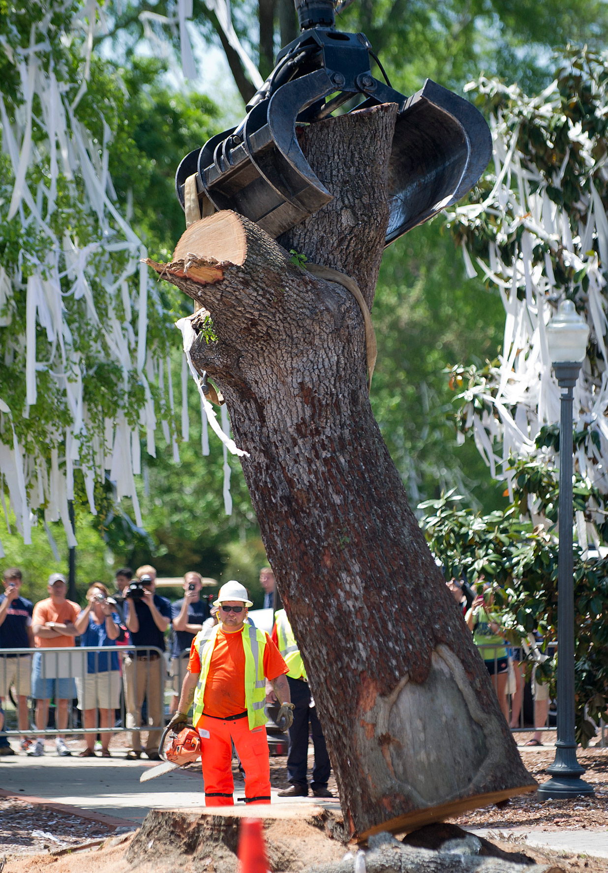 Toomer's Timber - The Week in Pictures for April 22-24, 2013 - ESPN
