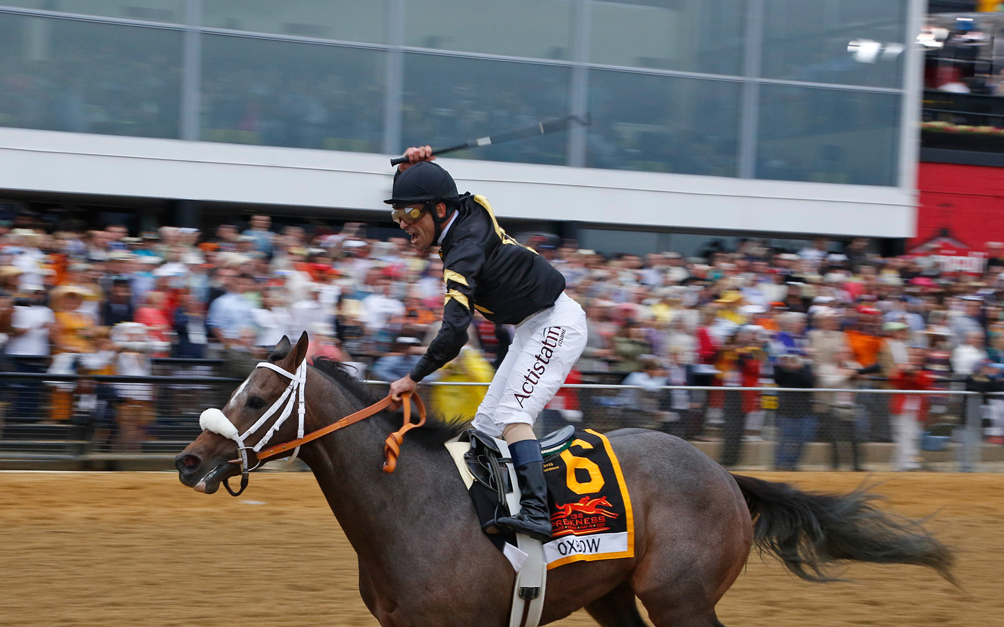 Raise Your Hand If You Had Oxbow - Preakness Stakes Gallery - ESPN