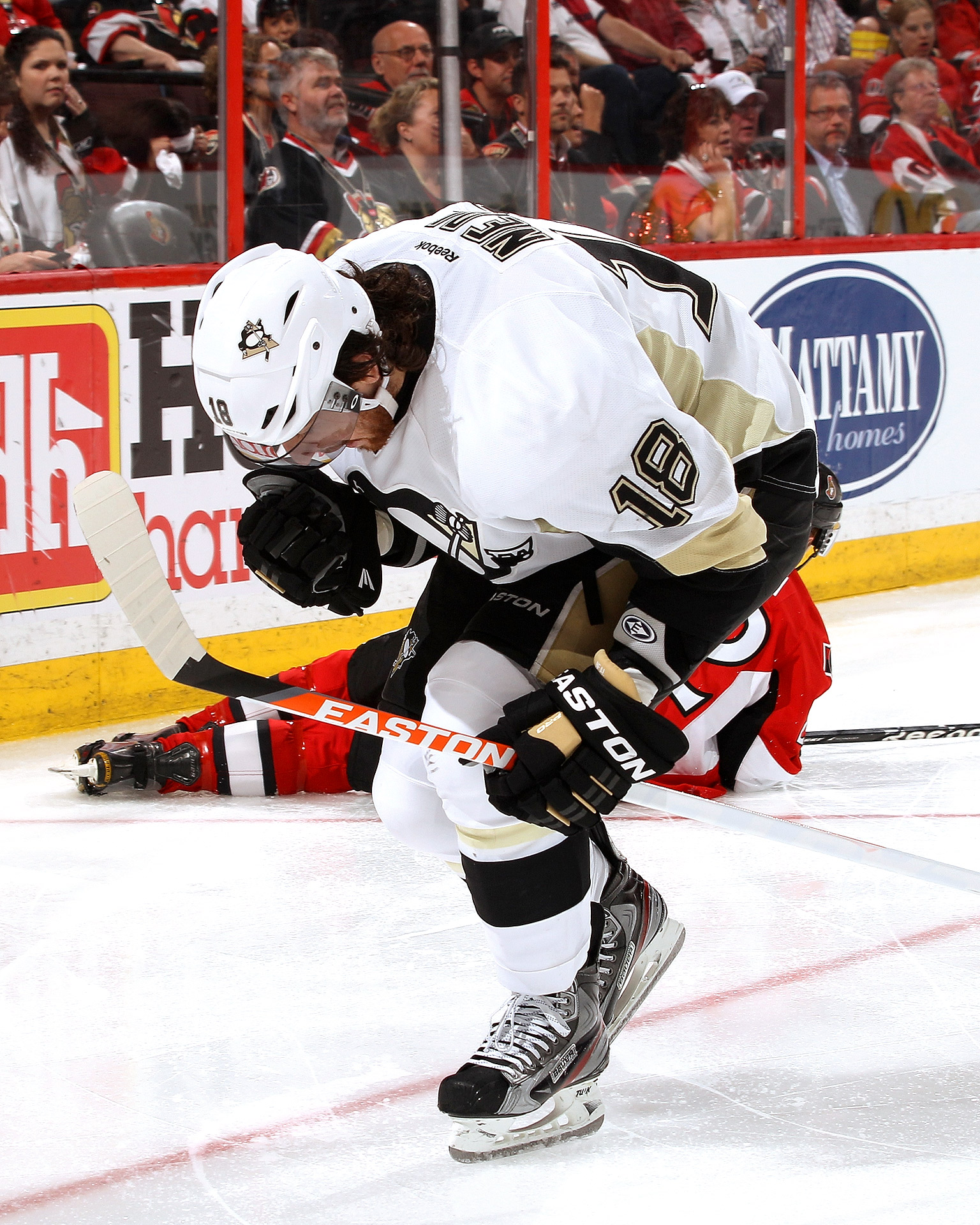 Penguin Power - The Week in Pictures for May 20-May 22, 2013 - ESPN