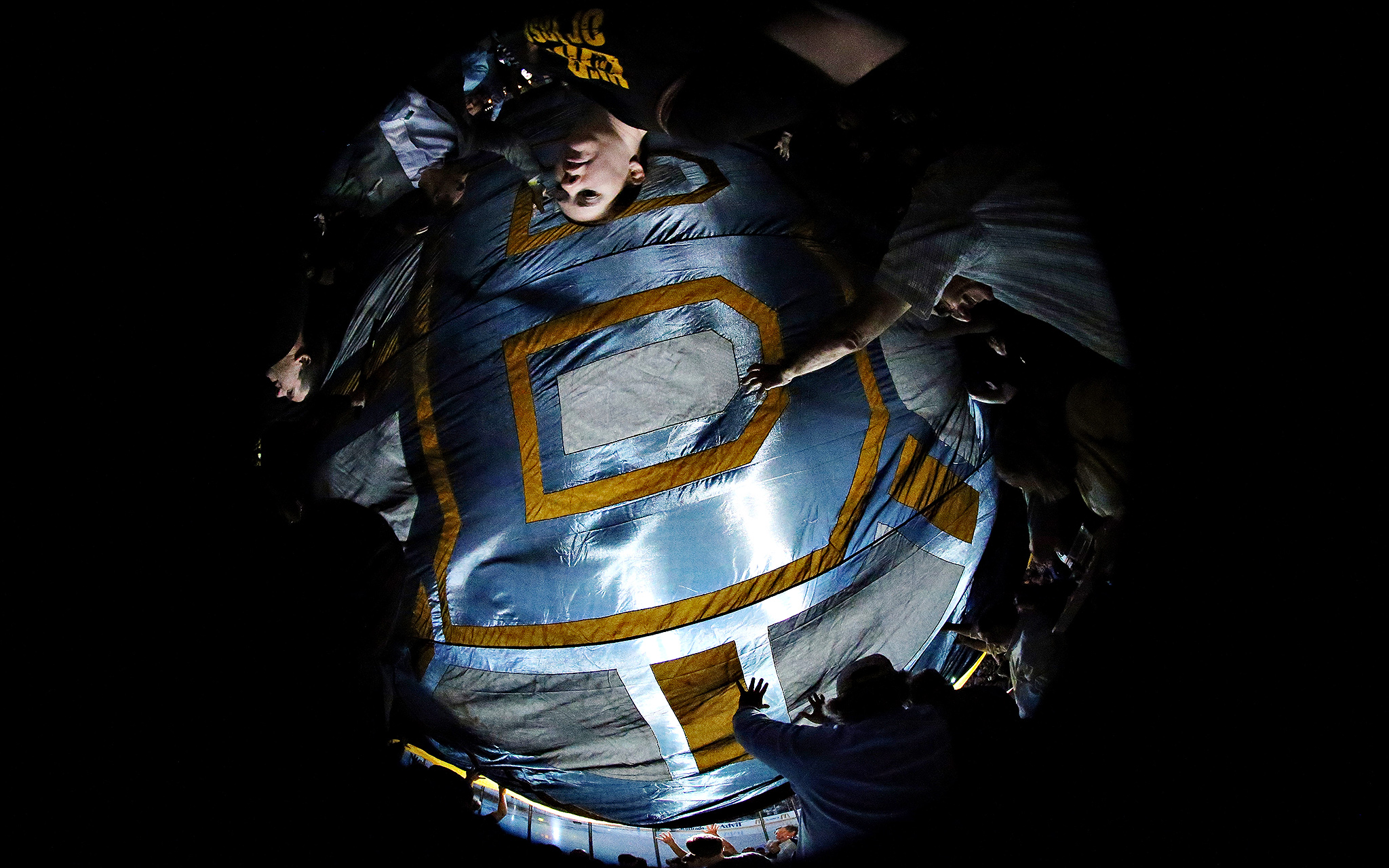 Bruins Fans - The Week in Pictures for June 3-June 9, 2013 - ESPN