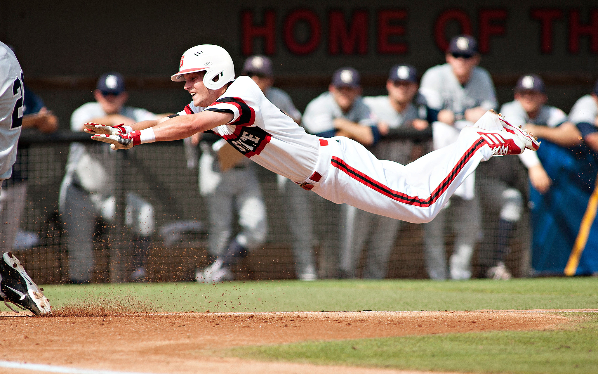 Flying Wolf - The Week in Pictures for June 3-June 9, 2013 - ESPN