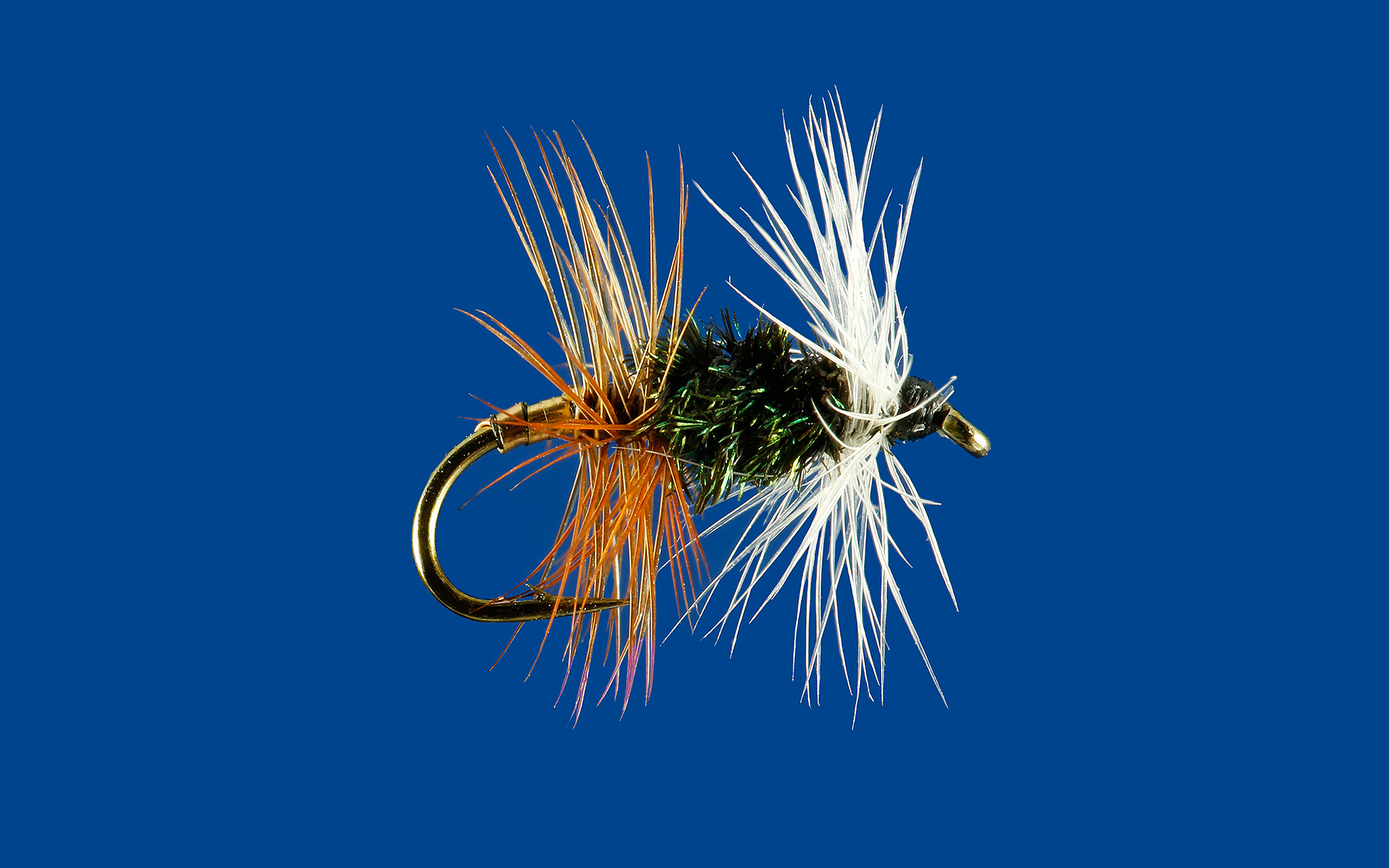 Renegade - Tom Morgan's Favorite Flies - ESPN