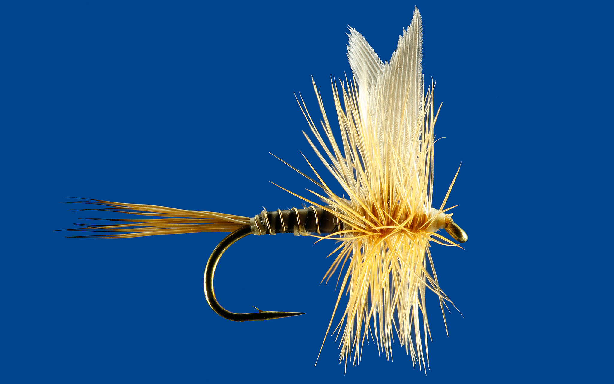 Ginger Quill - Tom Morgan's Favorite Flies - ESPN