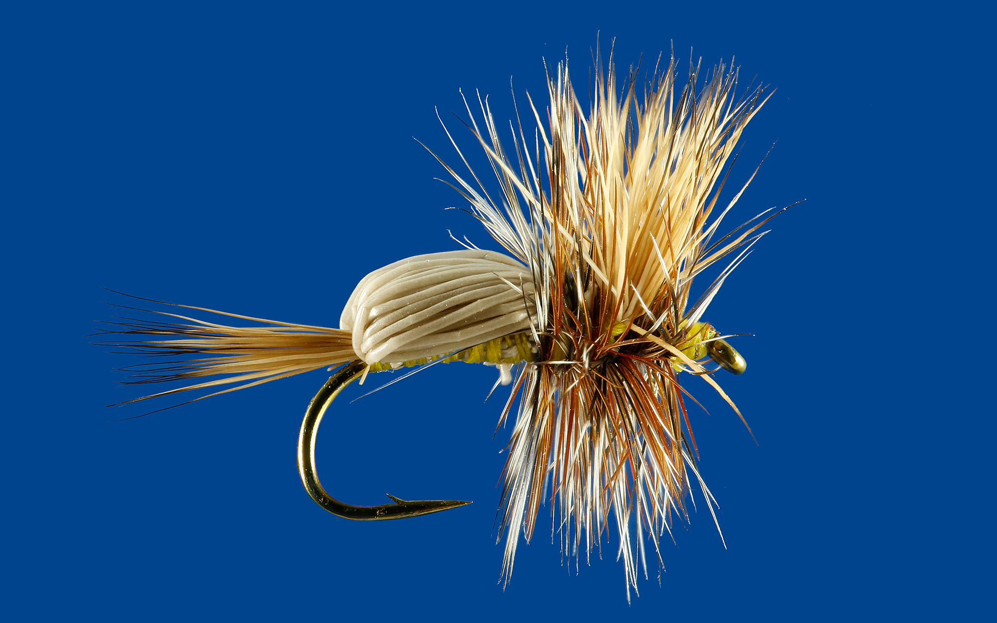 Goofus Bug - Tom Morgan's Favorite Flies - ESPN