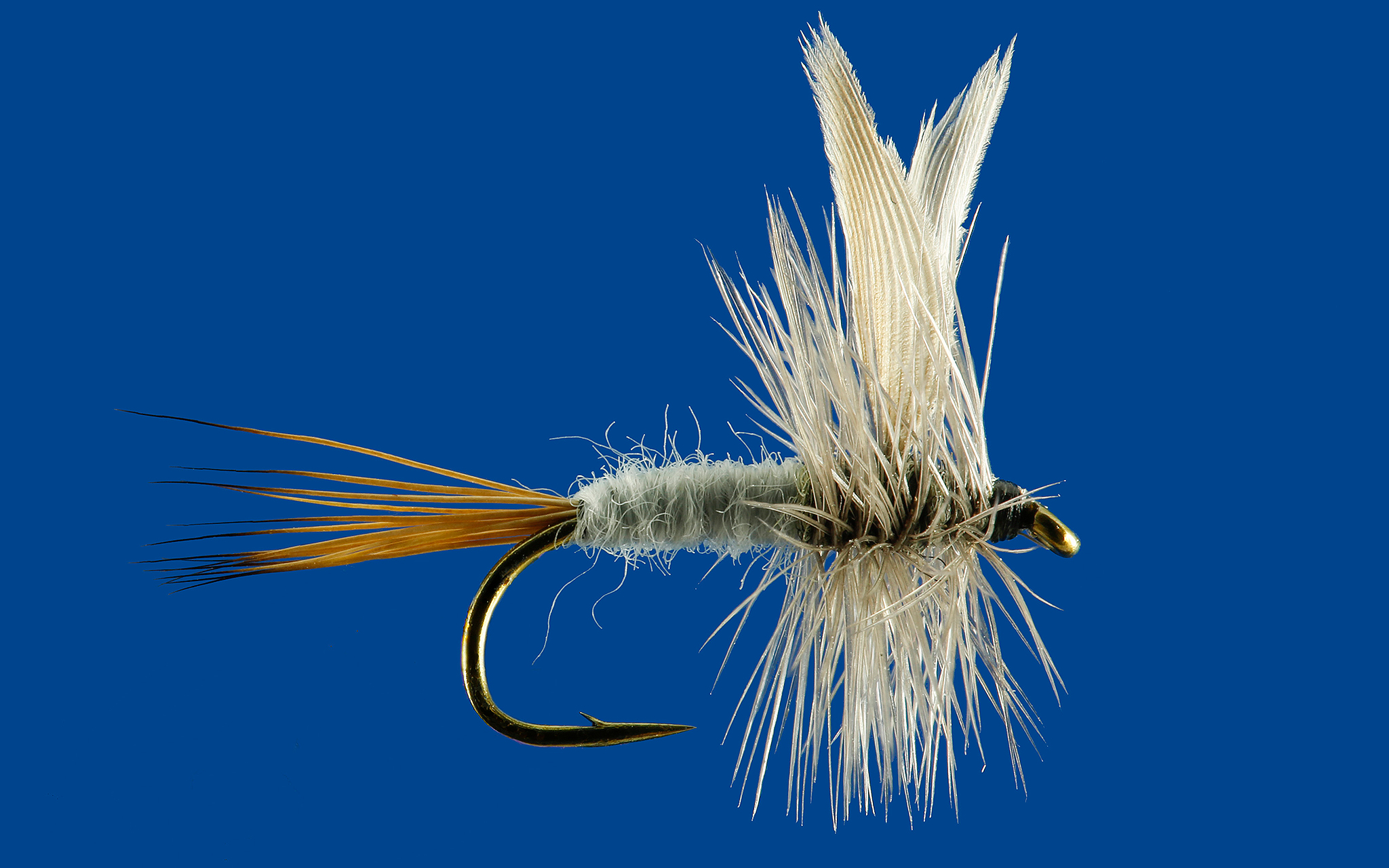 Blue Dunn - Tom Morgan's Favorite Flies - ESPN