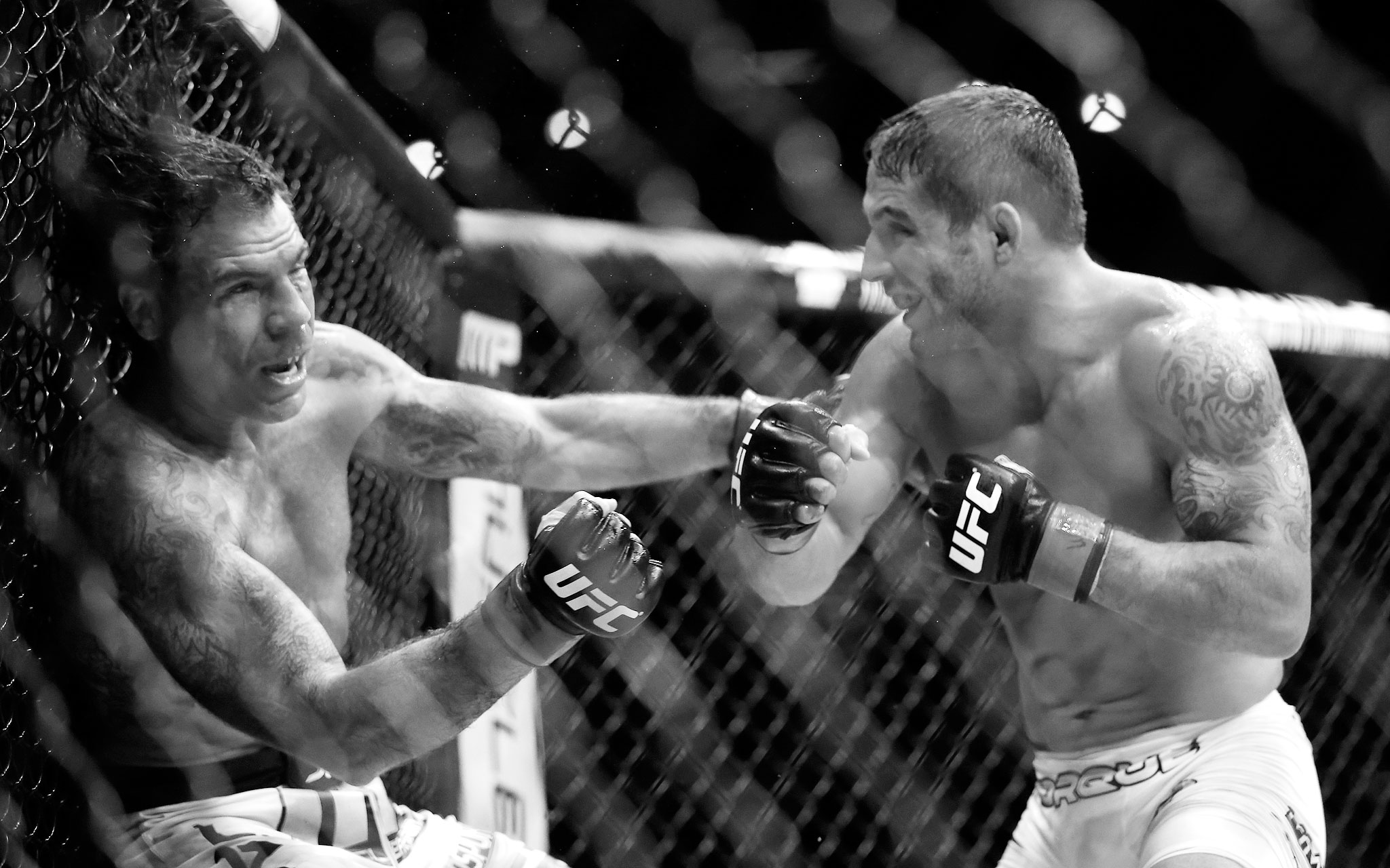 HD pictures taken at the right moment (updating after every event ...