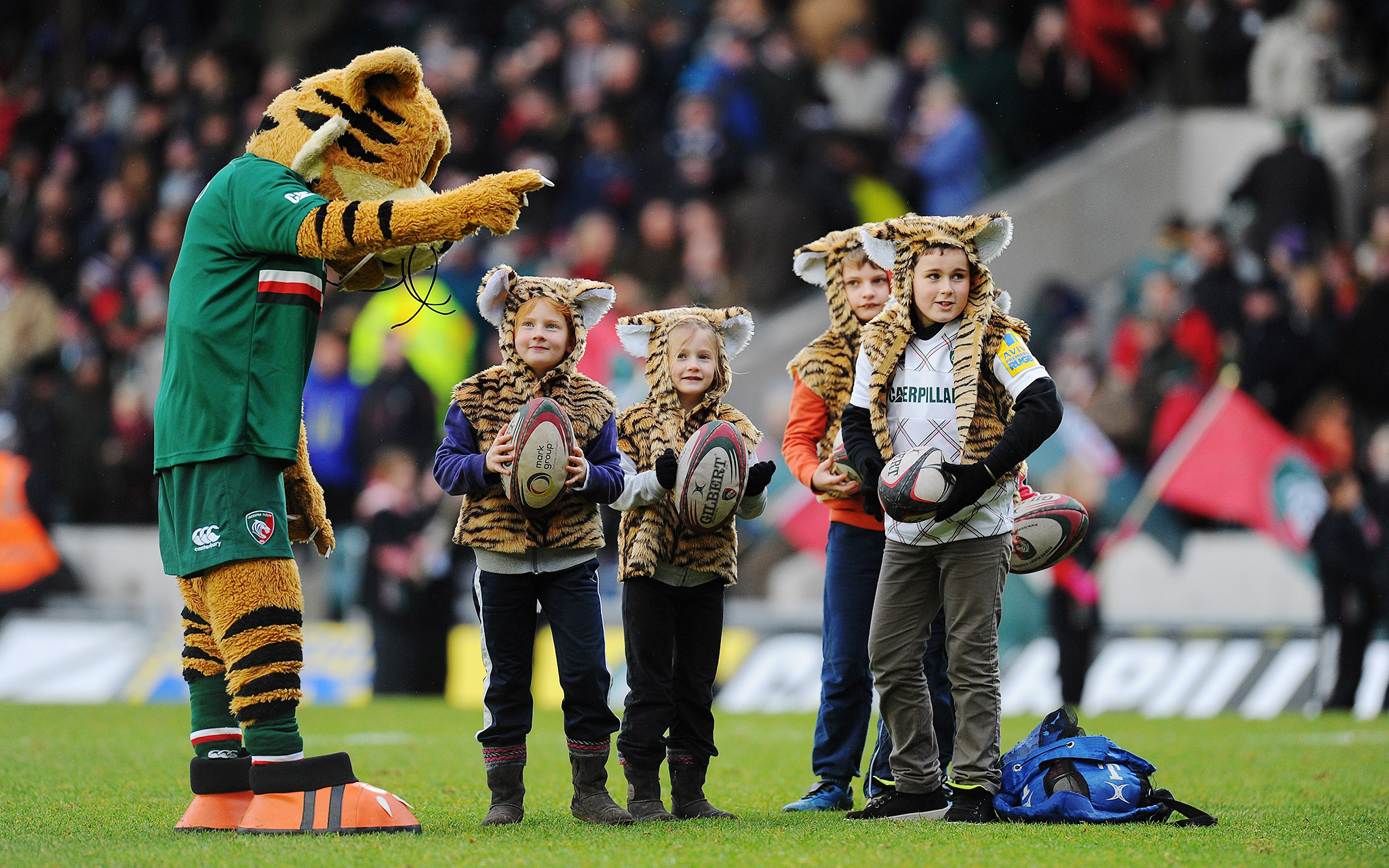 Young Tigers - Friday Funnies for Jan. 10 2013 - ESPN