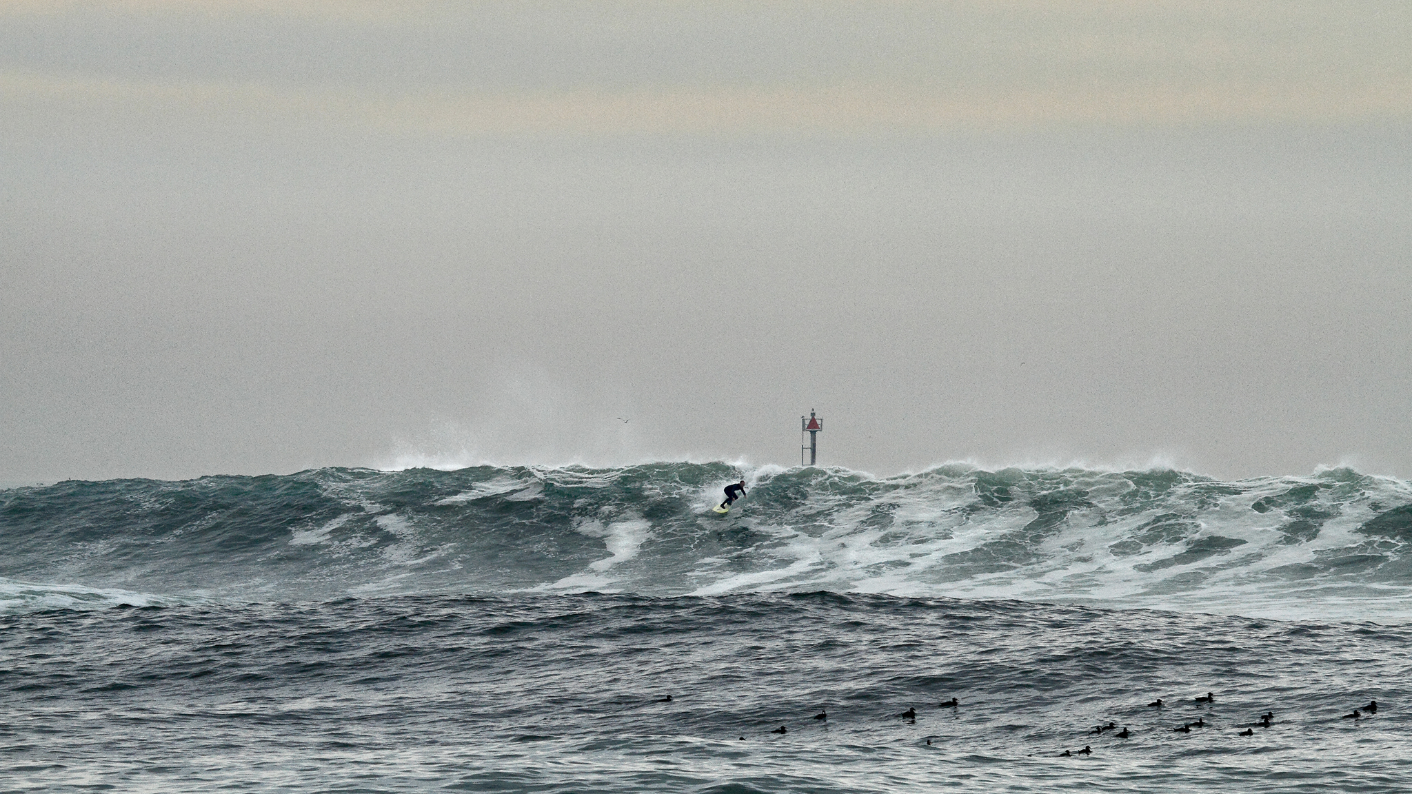 Seal Beach Surf