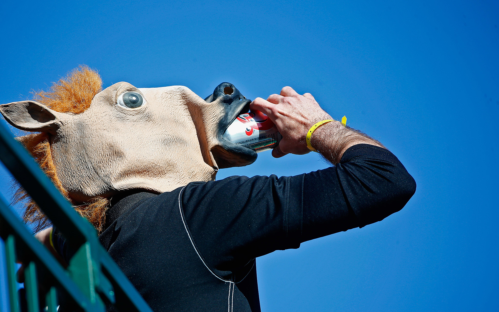 Horse Fan - Friday Funnies for Feb. 07, 2014 - ESPN