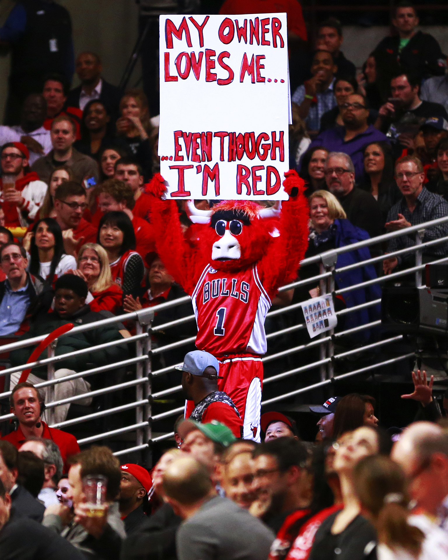 Bennie The Bull - Friday Funnies for May 2, 2014 - ESPN