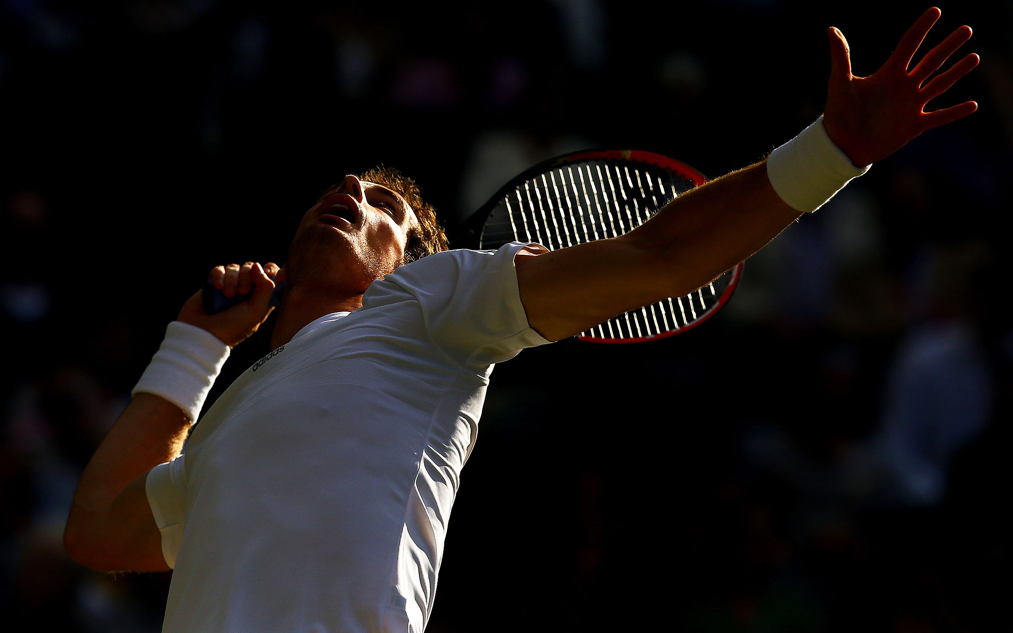 Andy Murray - The Week in Pictures: June 23-29, 2014 - ESPN