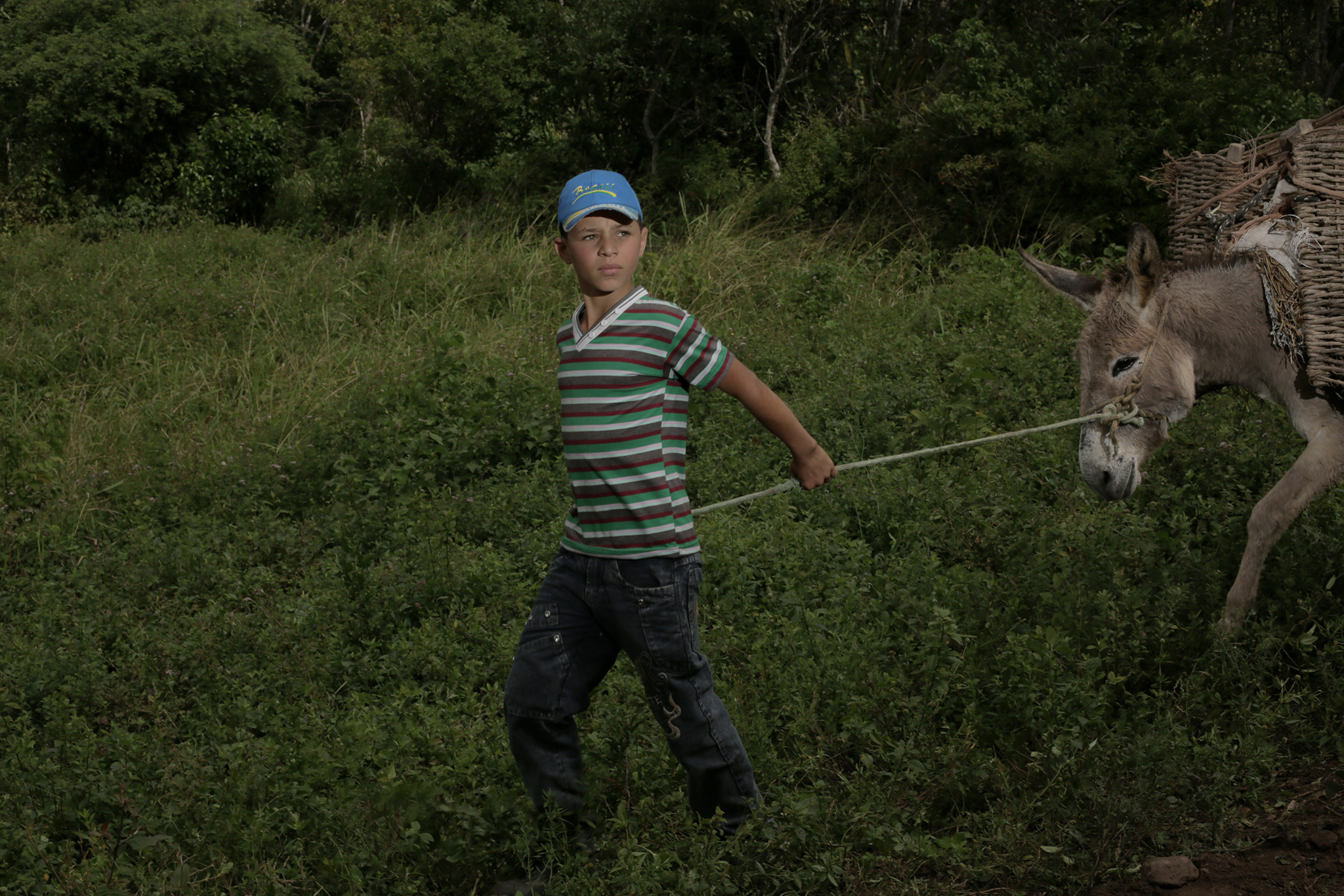 Donkey Workd - Magnum Offsides Brazil: World Cup Wrapup - ESPN