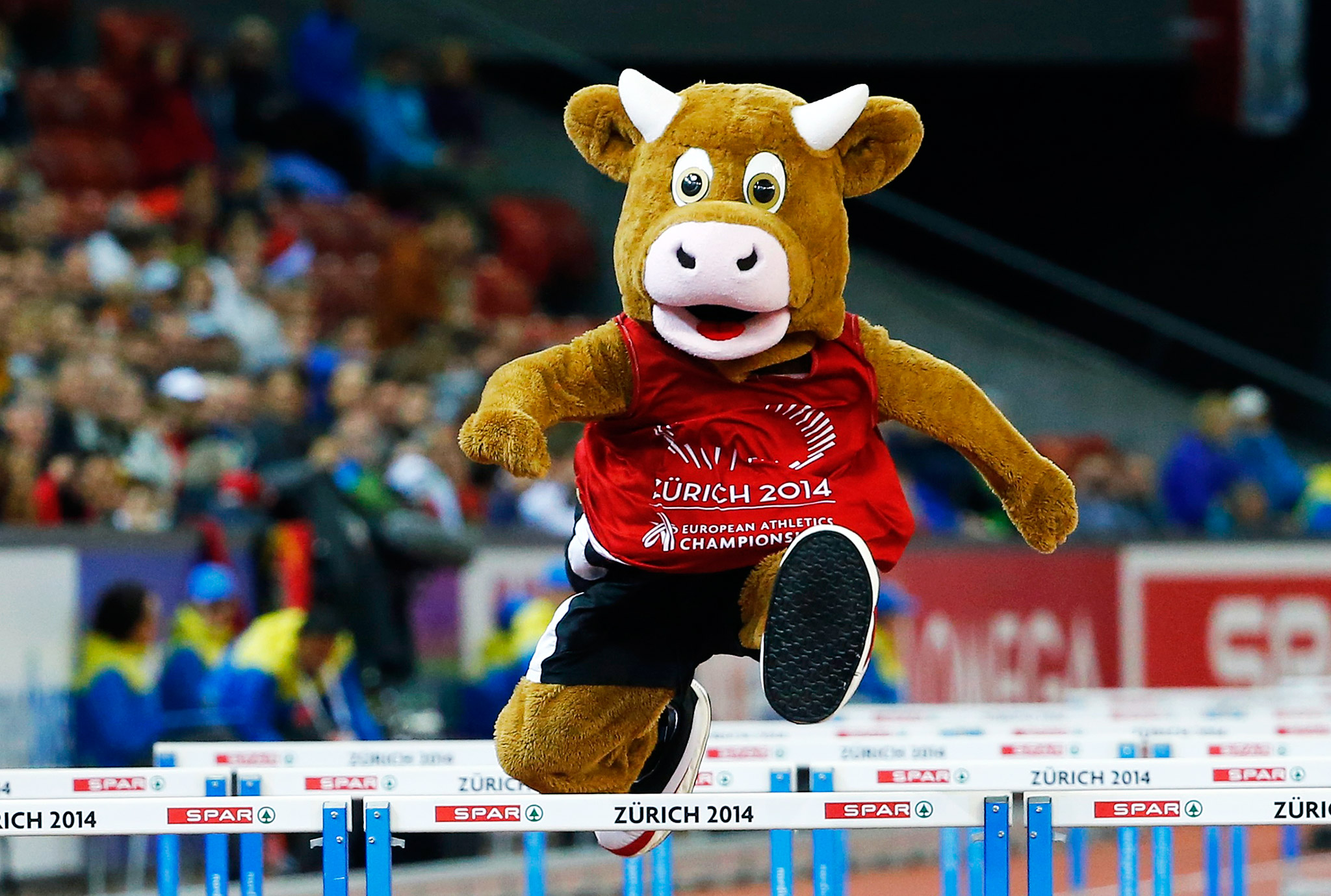 Mascot Cooly - Friday Funnies for August 15, 2014 - ESPN