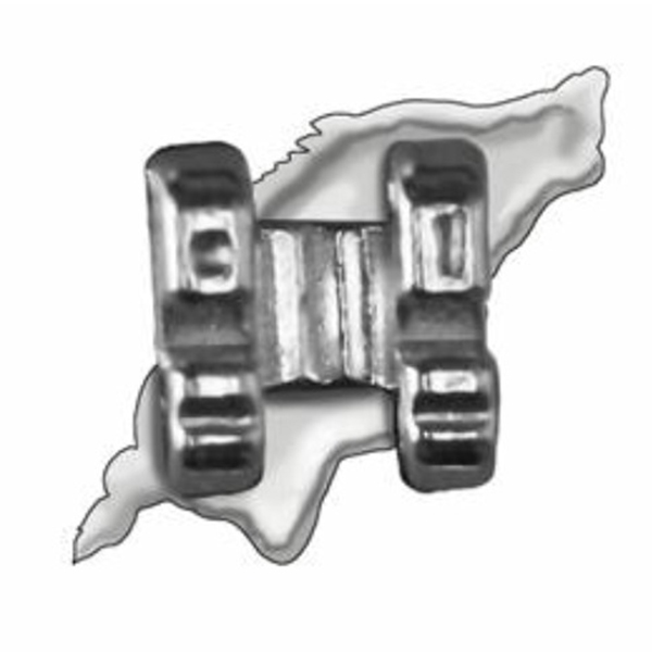 Arkansas Razorbacks fans can have logo affixed to front two teeth by ...