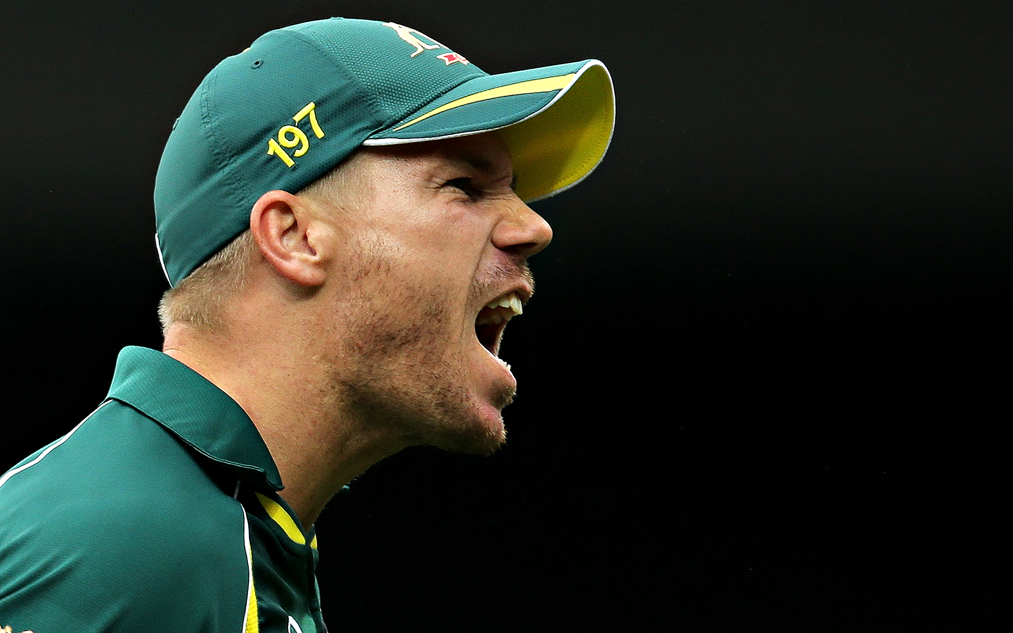 David Warner, Australia - Cricket World Cup 2015: Who's Got Personality ...