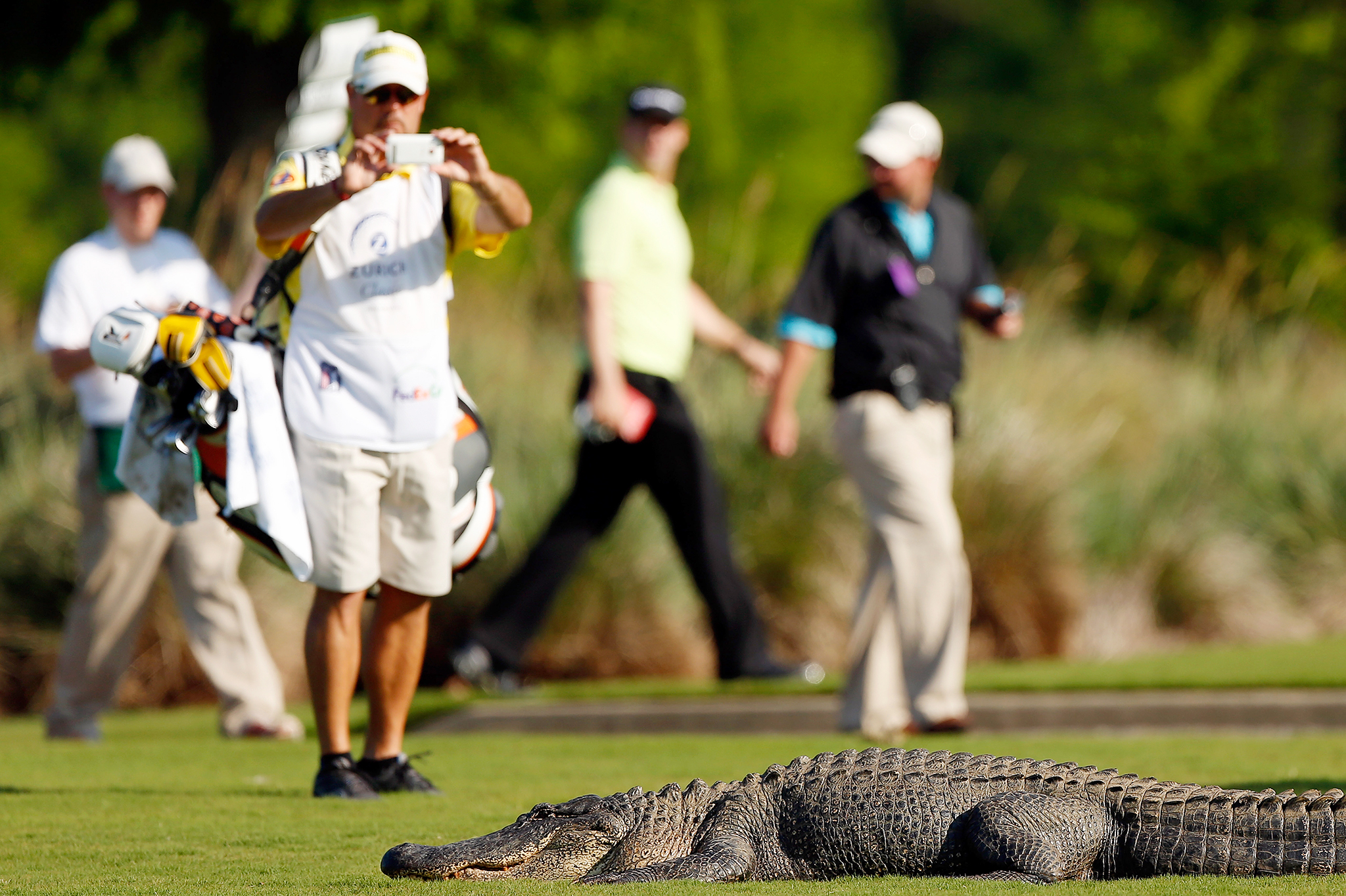 Friday Funnies: The Animals Of Golf - ESPN