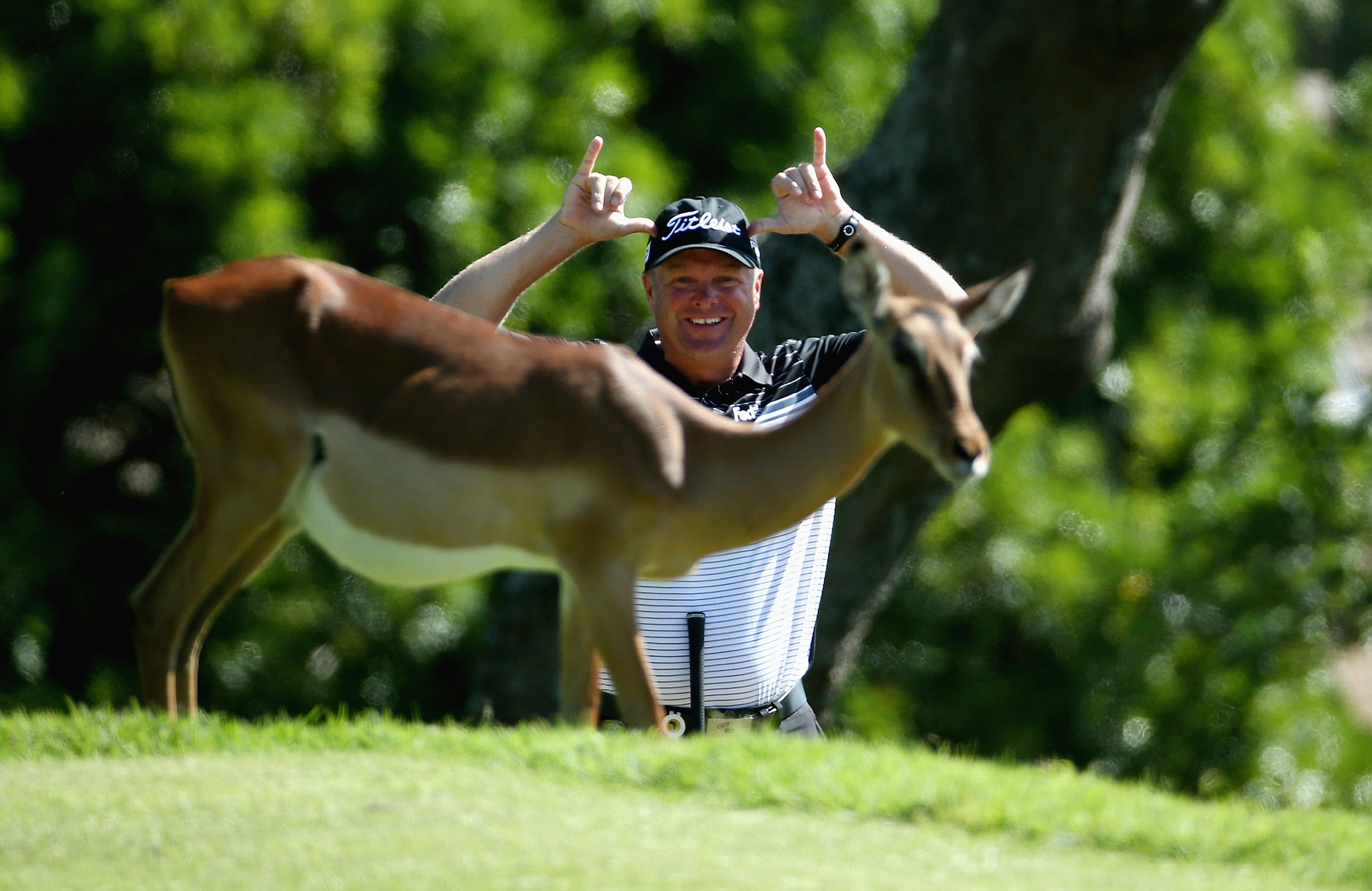 Doug McGuigan and Deer - Friday Funnies: The Animals Of Golf - ESPN