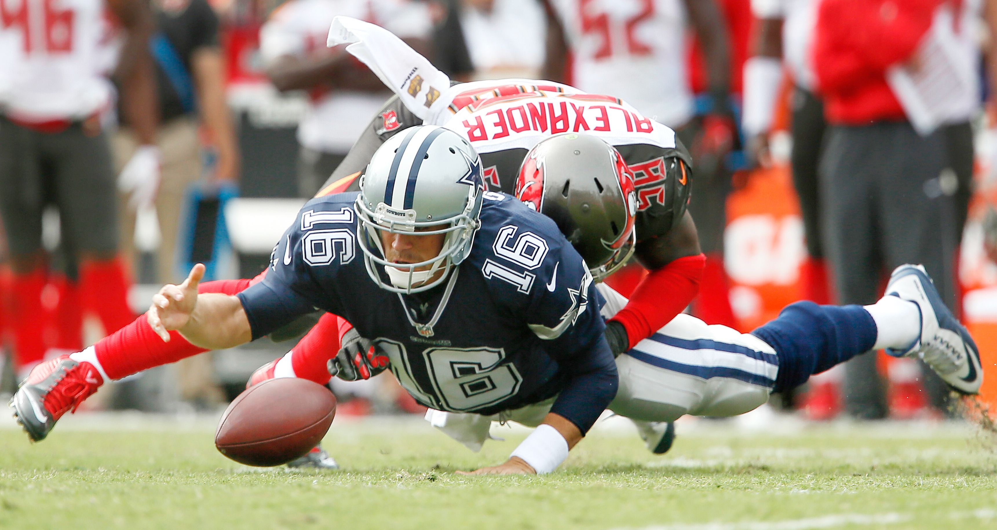 Matt Cassel - Best NFL Photos from Week 10 - ESPN