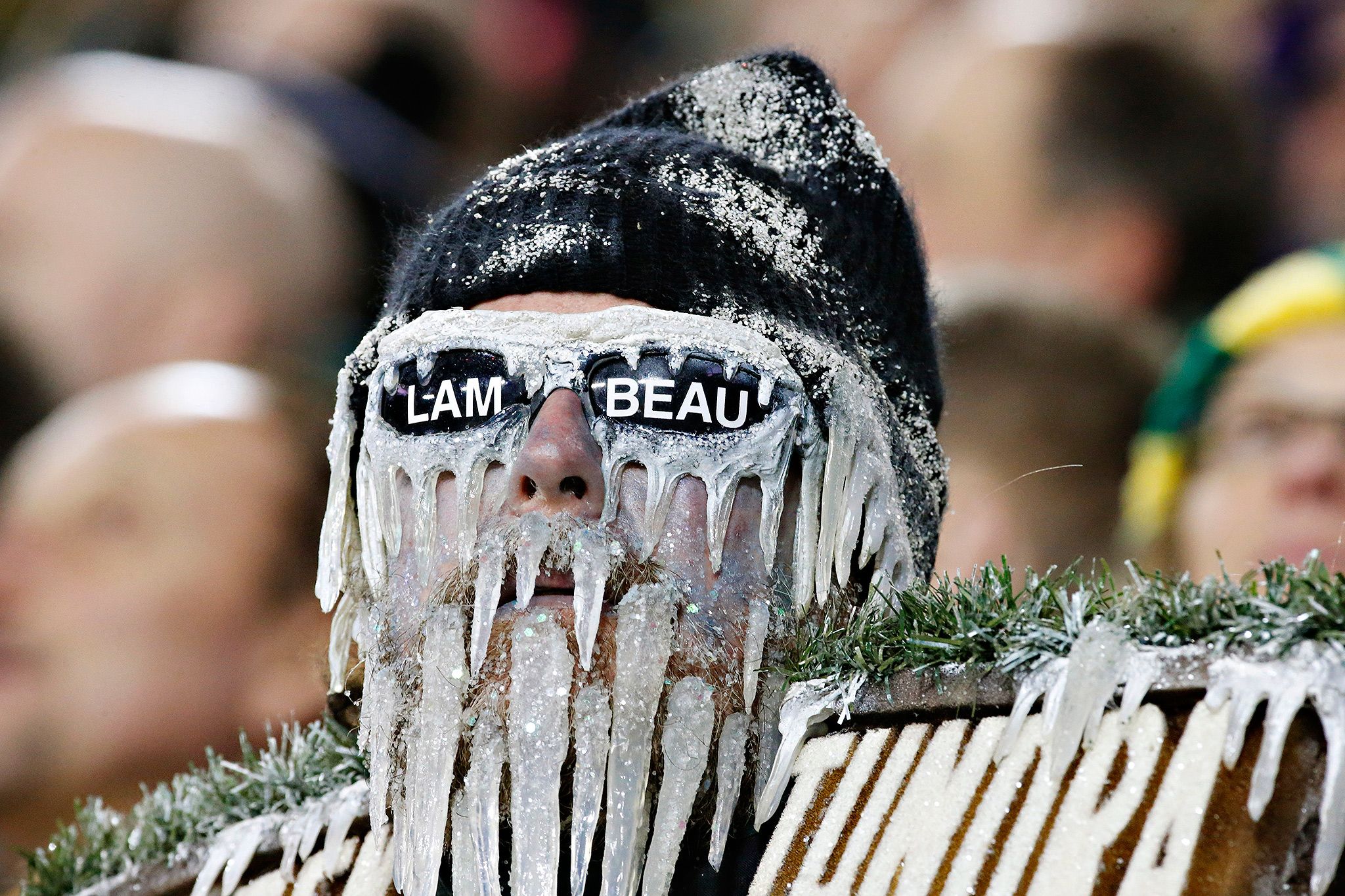 Frozen Fan - Photos: Vikings vs. Packers - ESPN