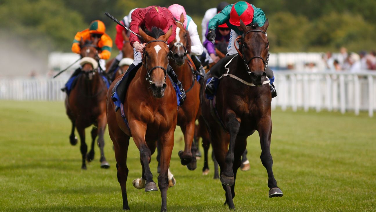 Horse Racing on ESPN - News and Results