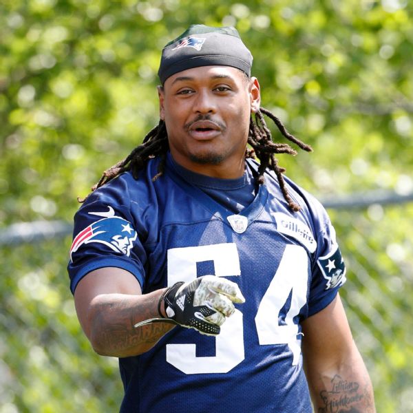 Dont'a Hightower Stats, News, Videos, Highlights, Pictures, Bio - New ...