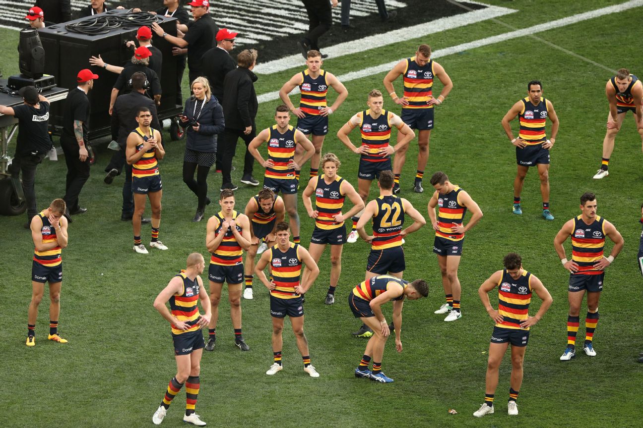 Crows defeated - AFL Grand Final 2017 - ESPN