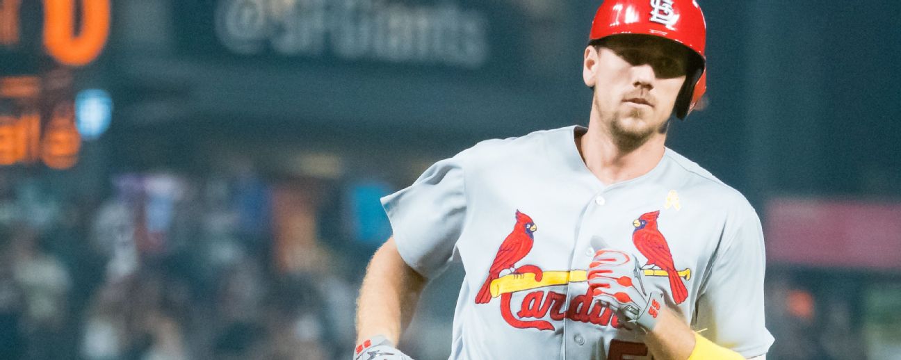 Matt Joyce Biography