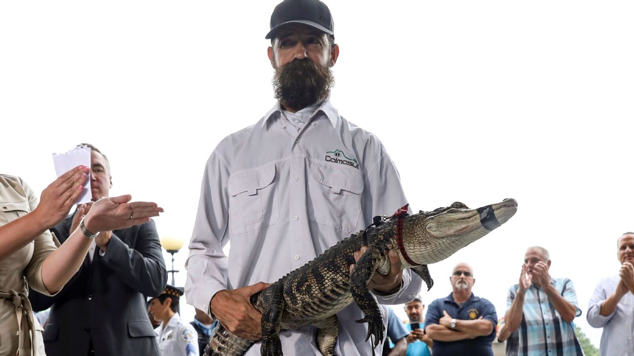 Chicago's alligator catcher throws out 1st pitch - ABC7 Chicago