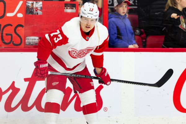 Adam Erne Stats, News, Videos, Highlights, Pictures, Bio - Detroit Red ...