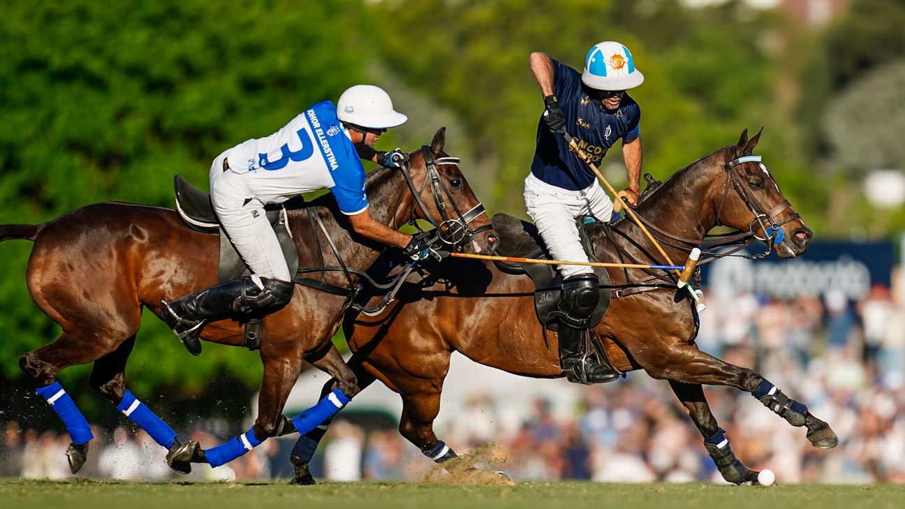 Polo, Resultados, Noticias, Videos, Estadísticas, Posiciones, Equipos ...