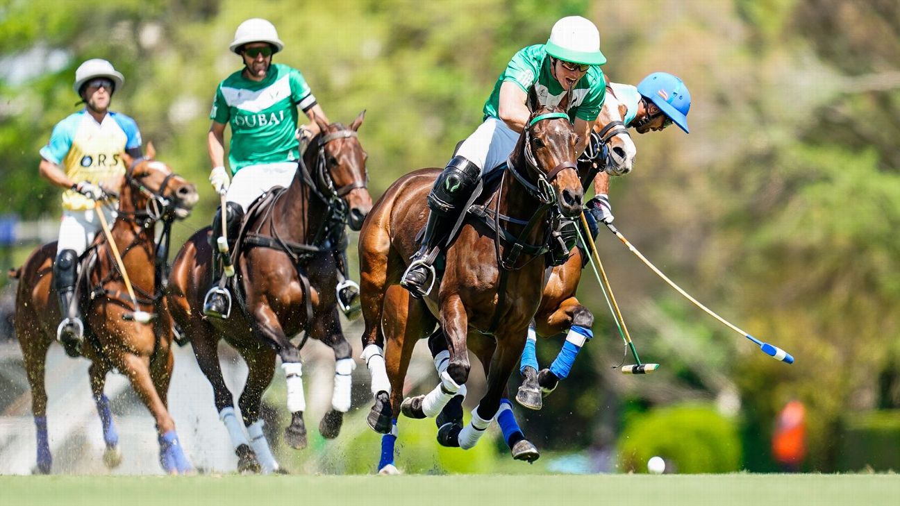 Polo, Resultados, Noticias, Videos, Estadísticas, Posiciones, Equipos ...