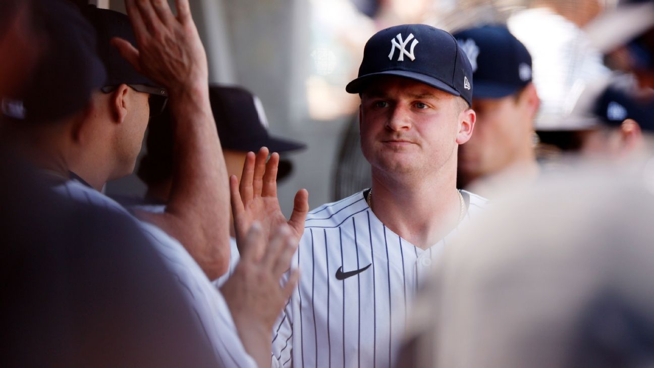 Yankees pitcher Clarke Schmidt's dad pilots team's flight to Tampa ...