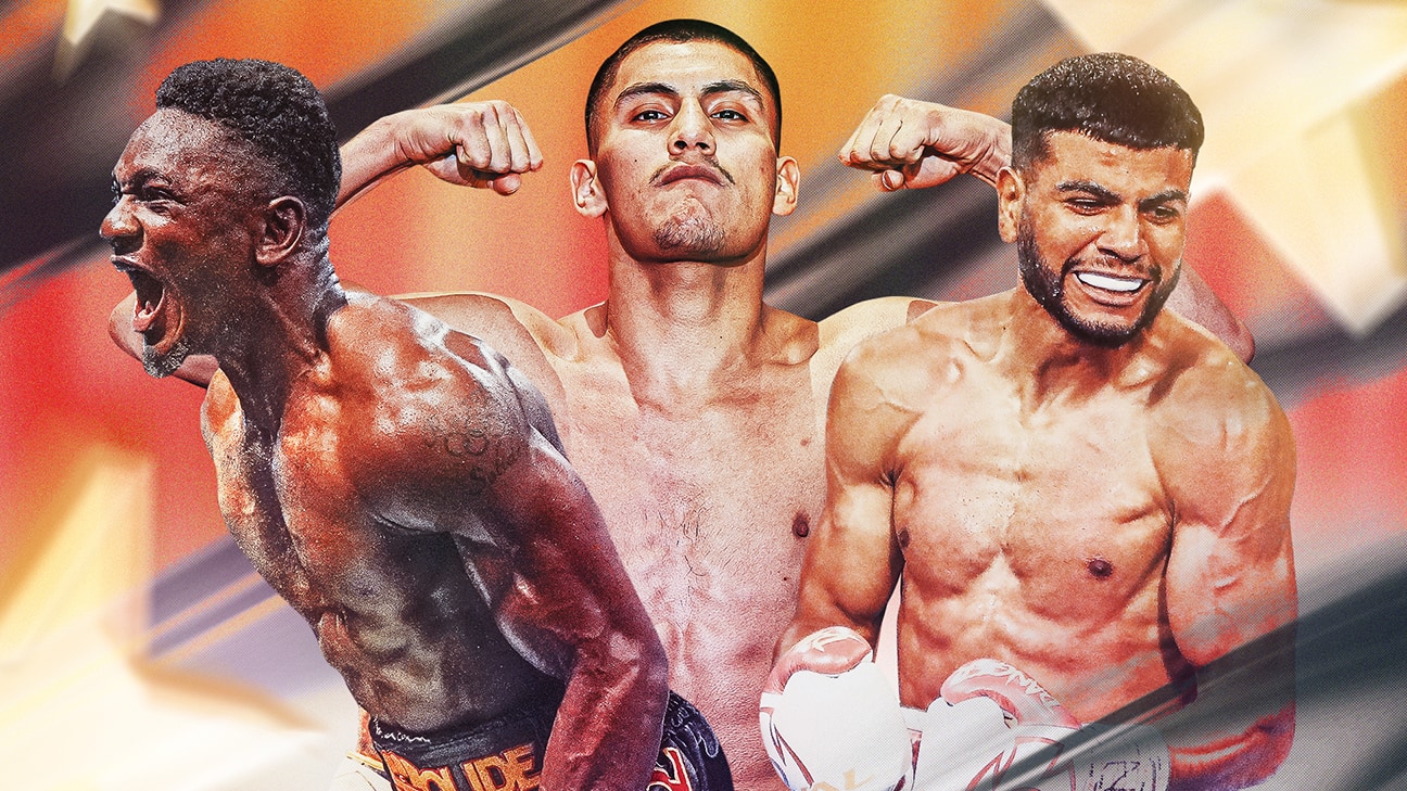 Boxeo Resultados, Noticias