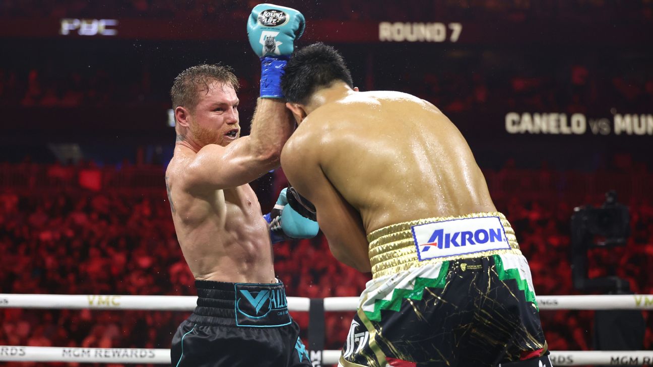 Boxeo Resultados, Noticias