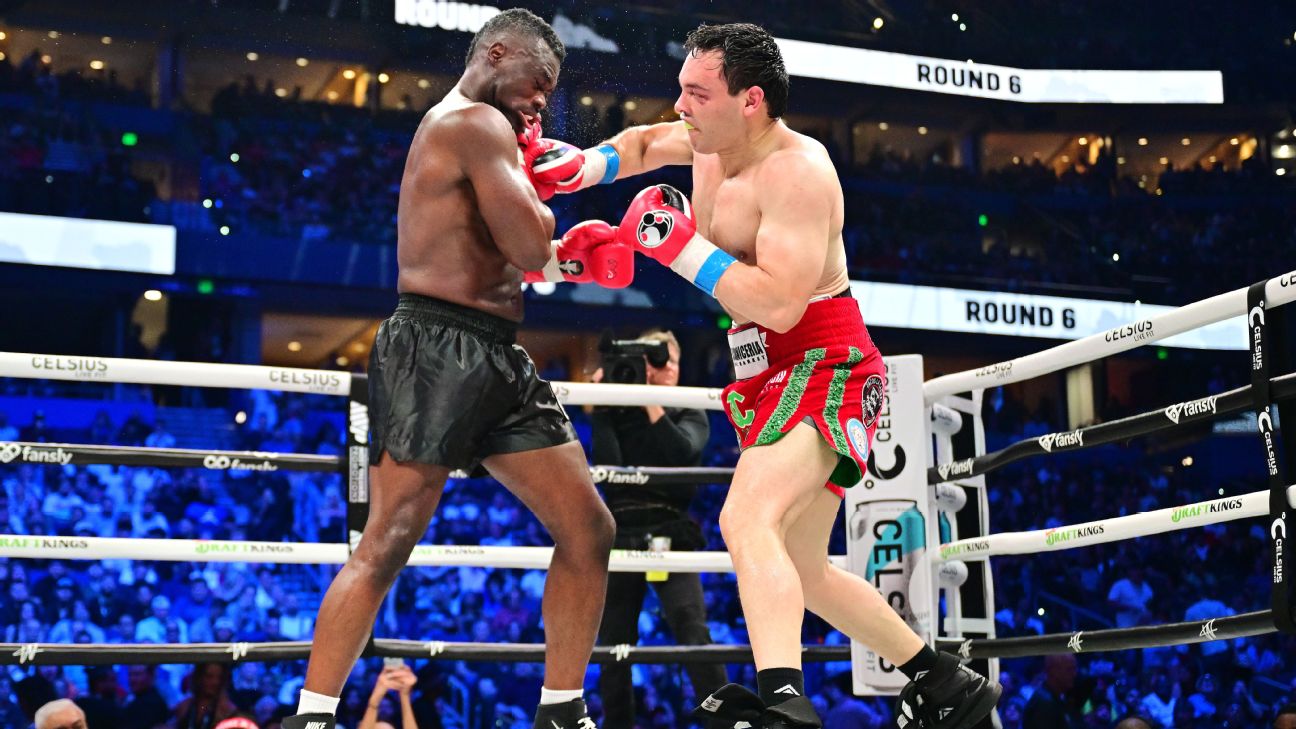 Boxeo Resultados, Noticias