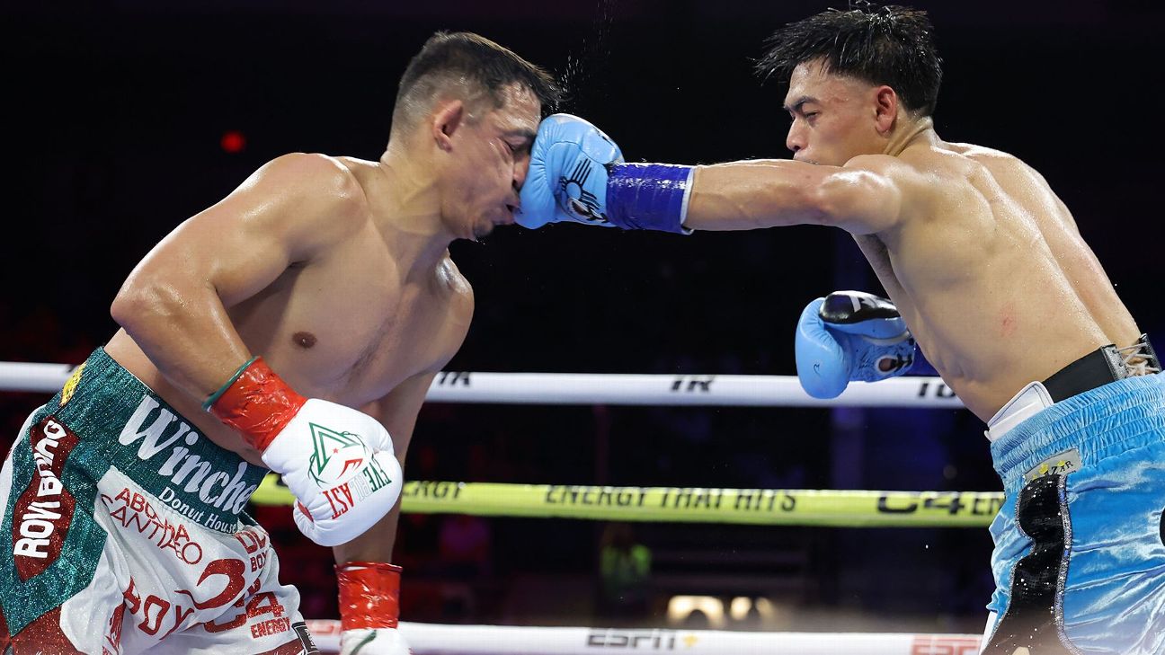 Boxeo Resultados, Noticias