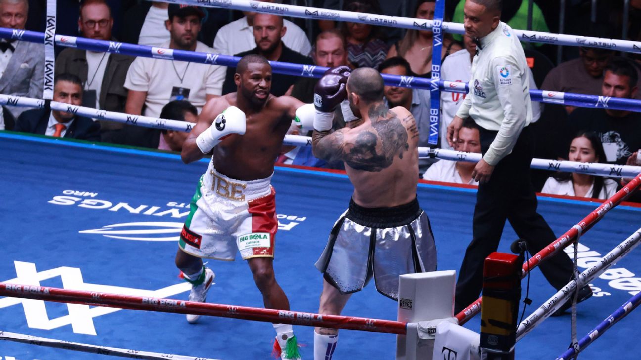 Boxeo Resultados, Noticias