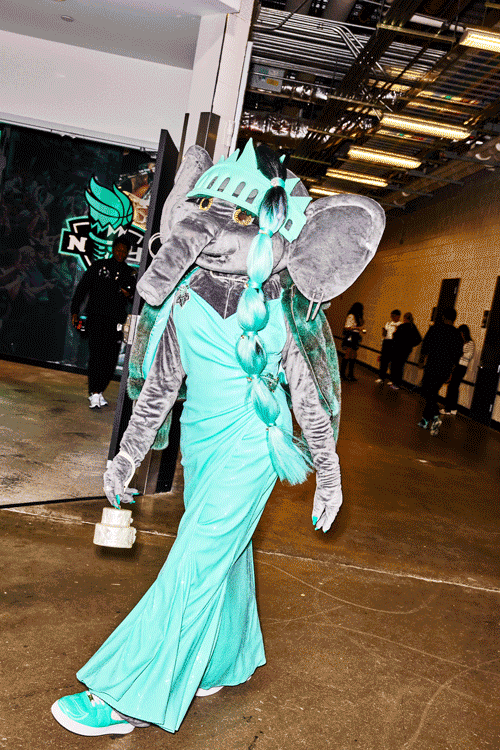 Who is Ellie the Elephant? A day with the New York Liberty icon - ABC7 ...