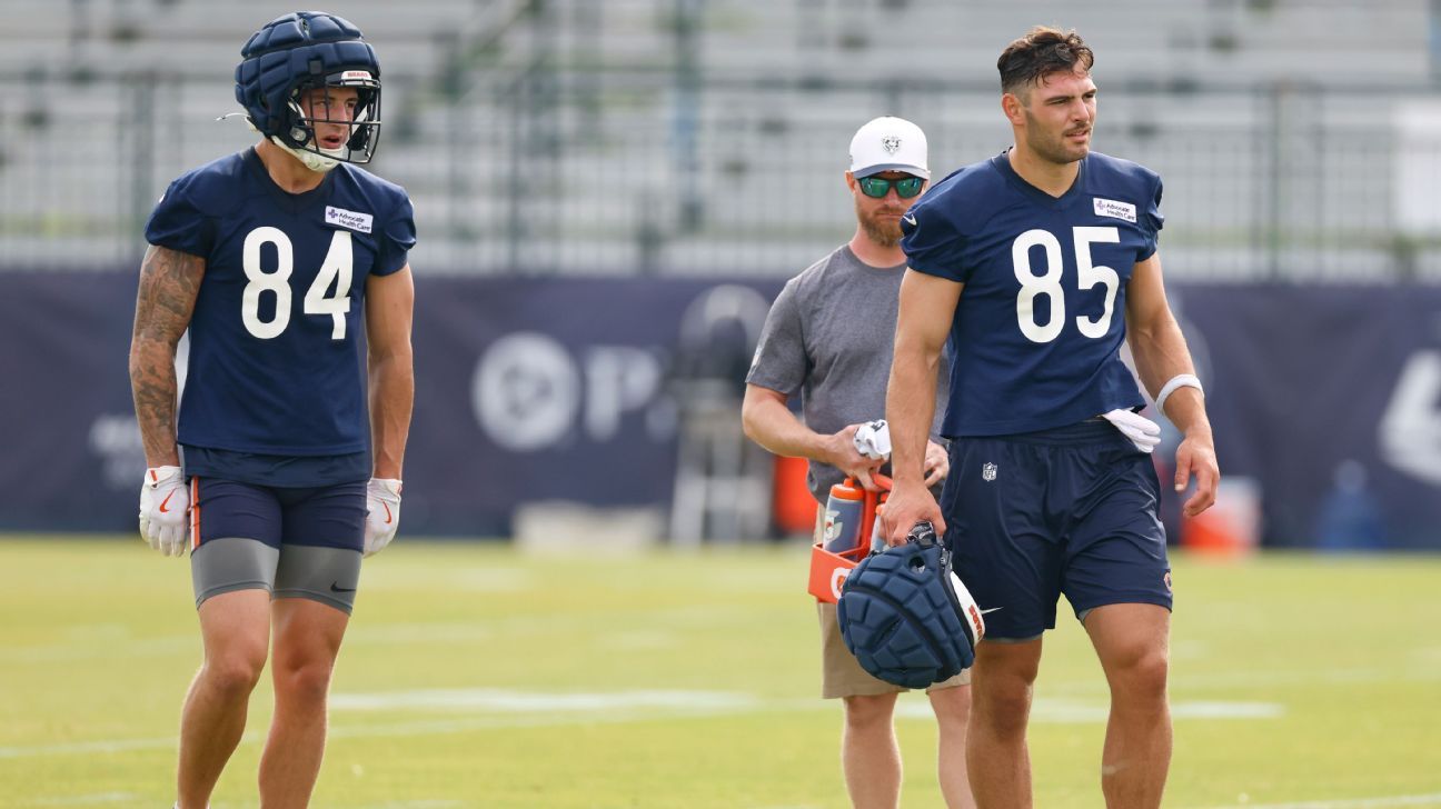 Two tight-end sets could play big role for Bears - ABC7 Chicago