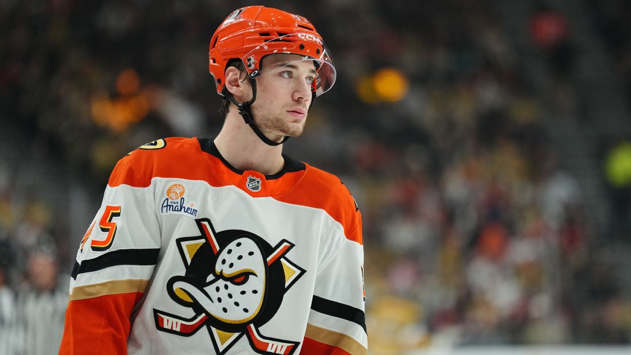 NHL teams' offseason keys, including free agency, draft needs - ABC7 ...