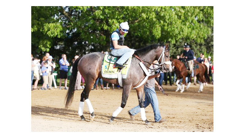 Kentucky Derby Week At Churchill Downs - Kentucky Derby Week Photo ...