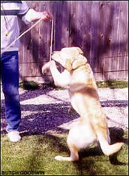 Part II: Eliminating escape responses - ESPN